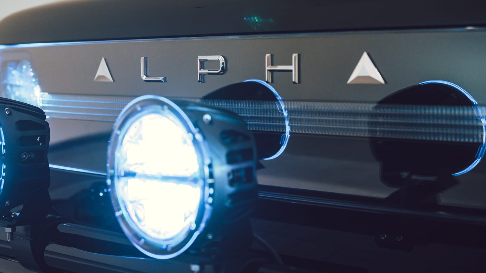 Back to the Future: the Alpha WOLF is giving us Marty McFly vibes | Top ...