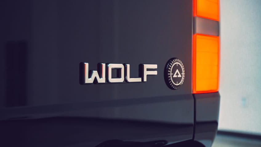 Back to the Future: the Alpha WOLF is giving us Marty McFly vibes | Top ...