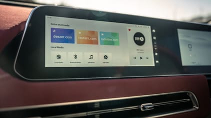 Ora Funky Cat First Edition - long term review - Report No:3 2025 | Top ...