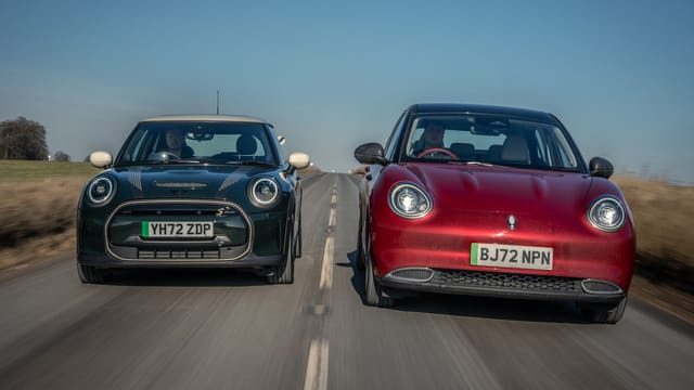 Ora Funky Cat First Edition - long term review - Report No:3 2025 | Top ...