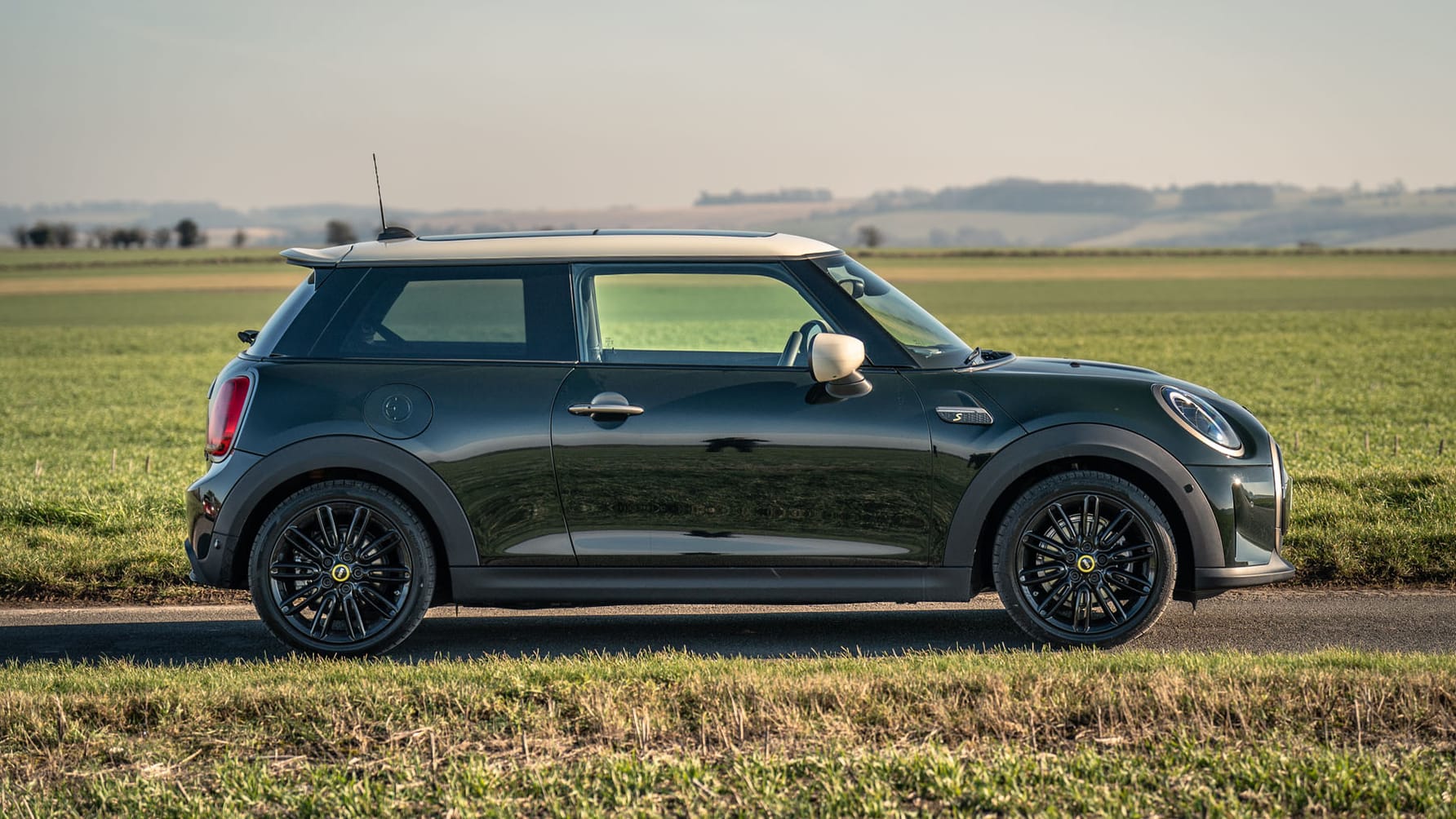 Ora Funky Cat First Edition - long term review - Report No:3 2025 | Top ...