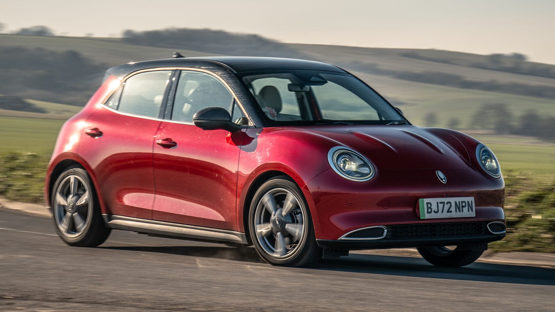 Ora Funky Cat First Edition - long term review - Report No:2 2025 | Top ...