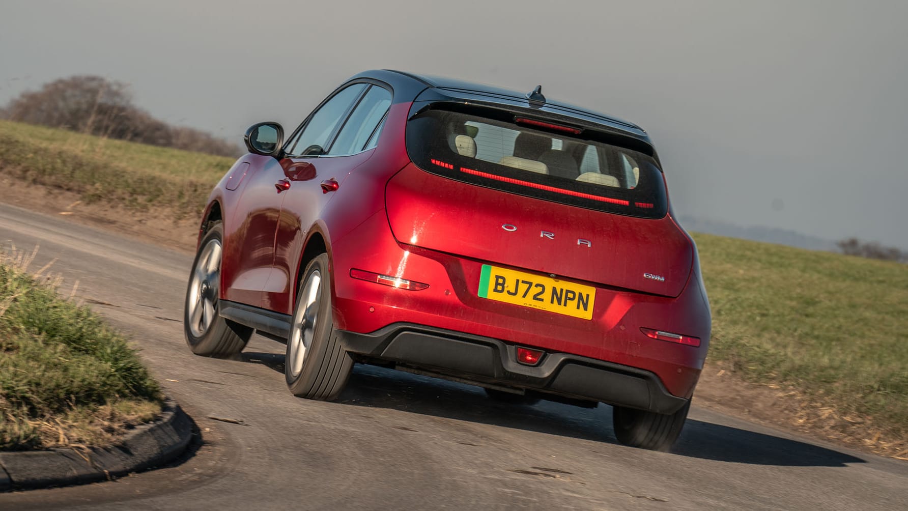 Ora Funky Cat First Edition - long term review - Report No:2 2025 | Top ...