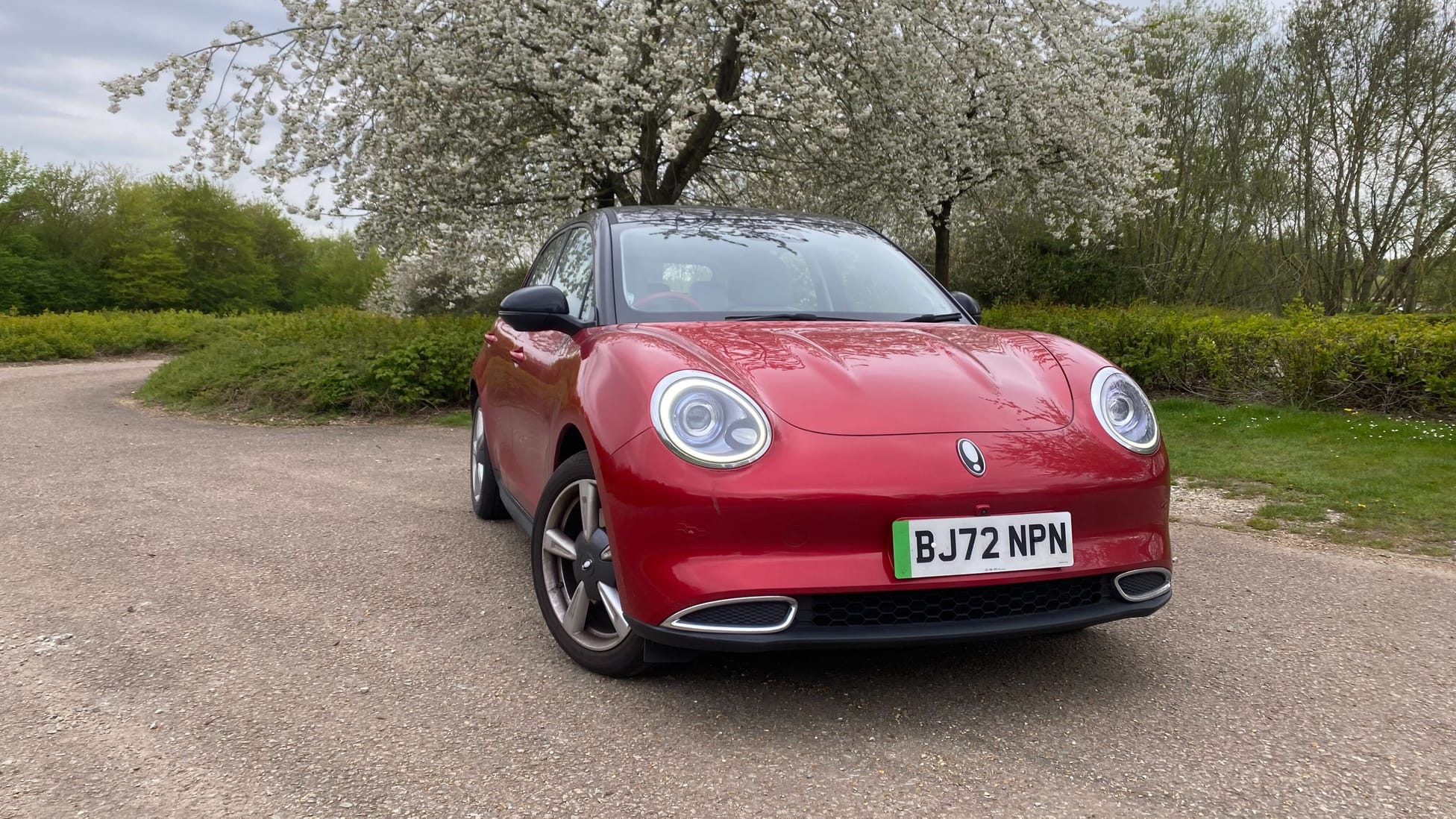 Ora Funky Cat First Edition - long term review - Report No:4 2025 | Top ...