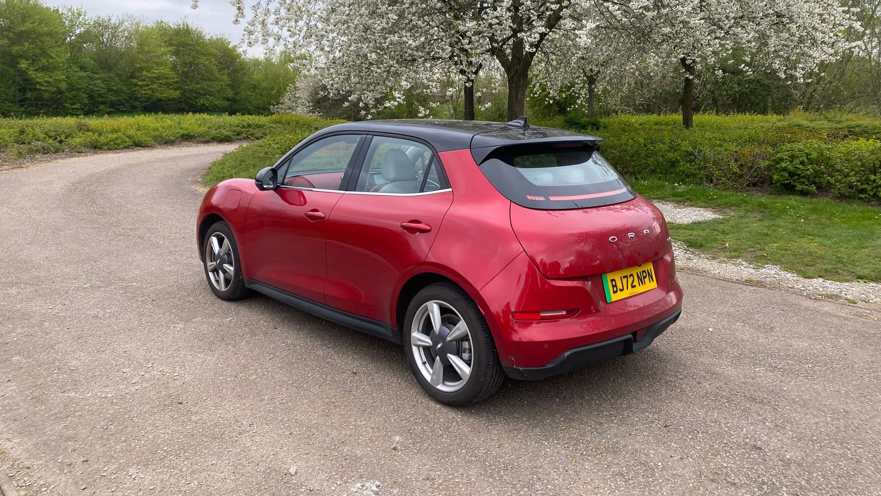 Ora Funky Cat First Edition - long term review - Report No:4 2025 | Top ...