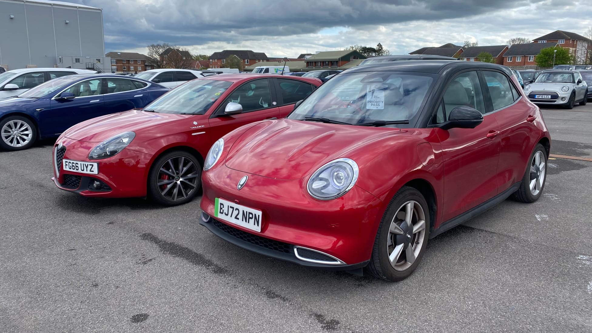 Ora Funky Cat First Edition - long term review - Report No:4 2025 | Top ...