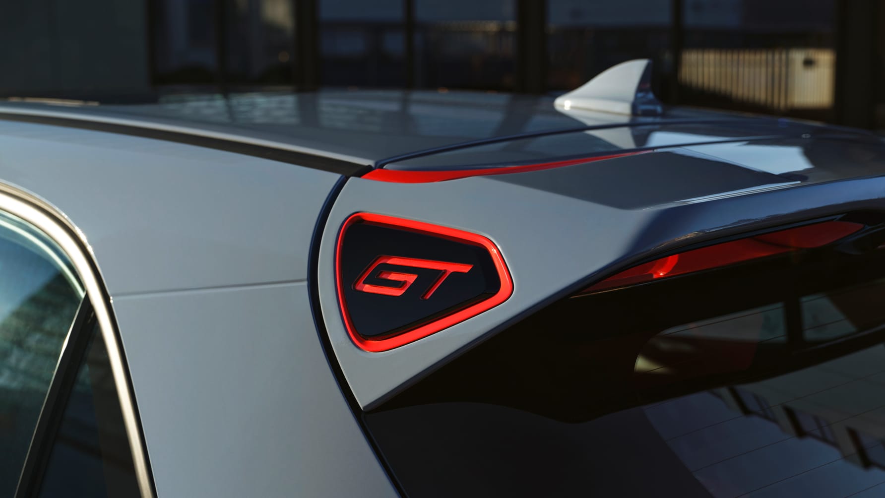 Ora Funky Cat First Edition - long term review - Report No:5 2025 | Top ...