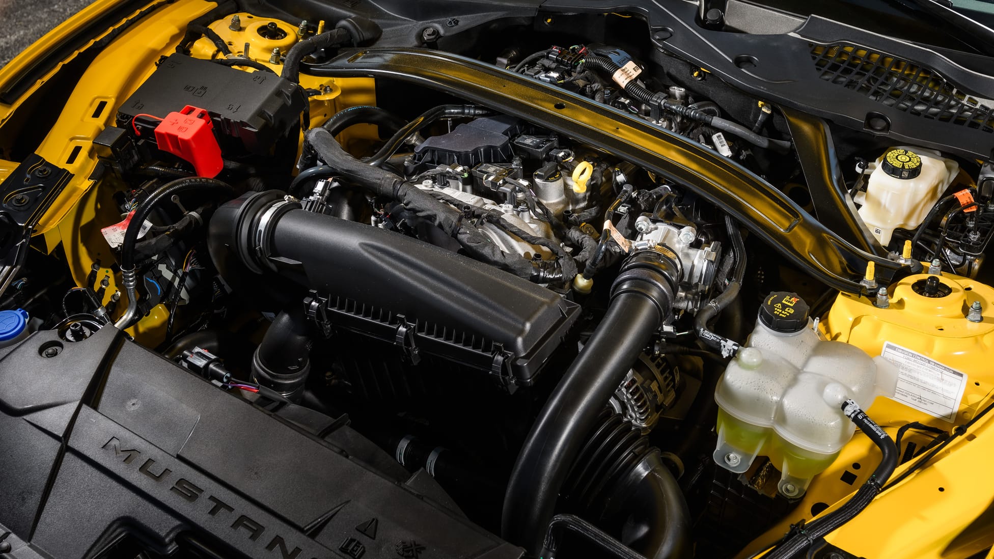 Buy Ford Mustang (US) Price, PPC or HP | Top Gear