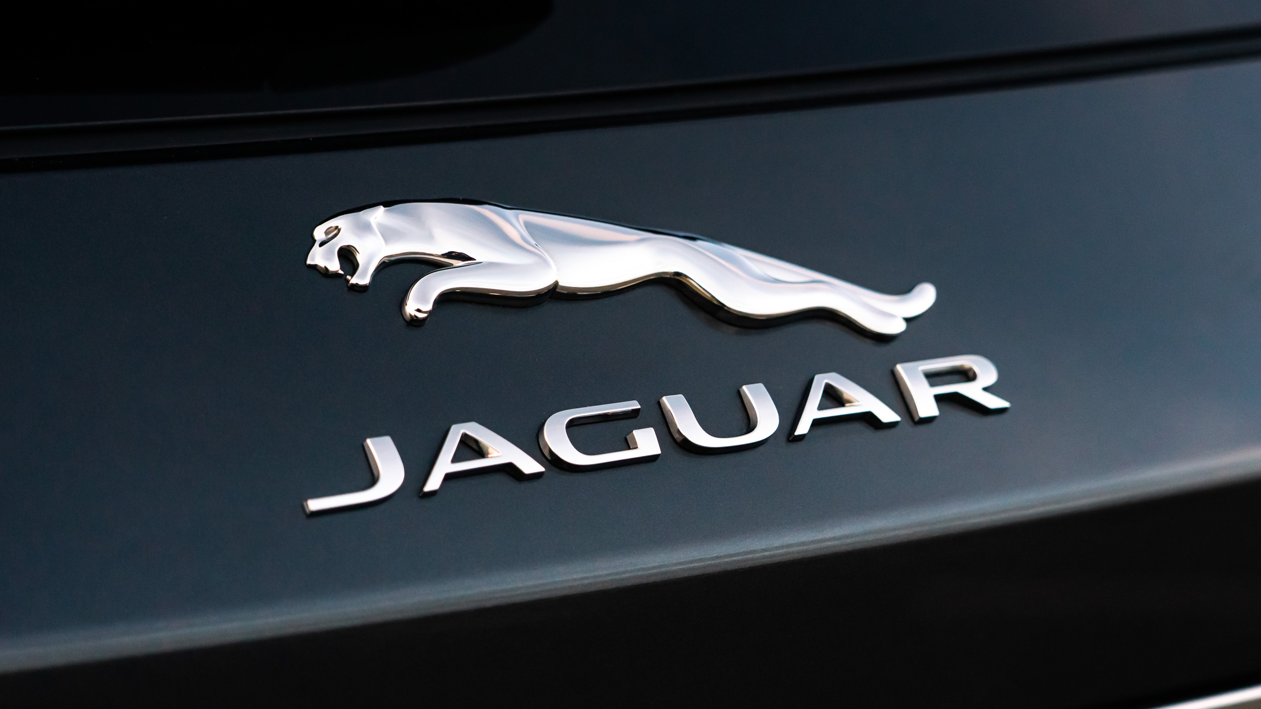 Jaguar Car 2024 Logo