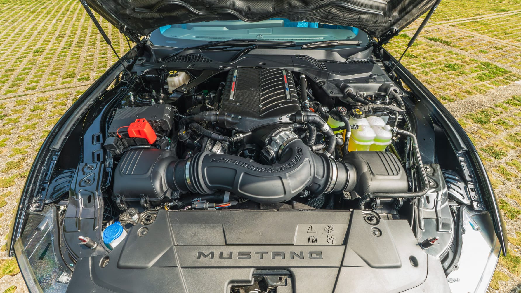 Be afraid: someone’s given the Ford Mustang Dark Horse a whopping ...