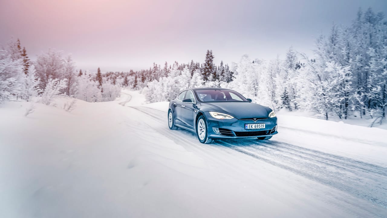 Top Gear on ice: Tesla Model S vs... an elk | Top Gear