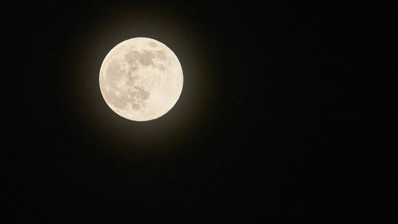 Paul Horrell | Page 17 | Top Gear