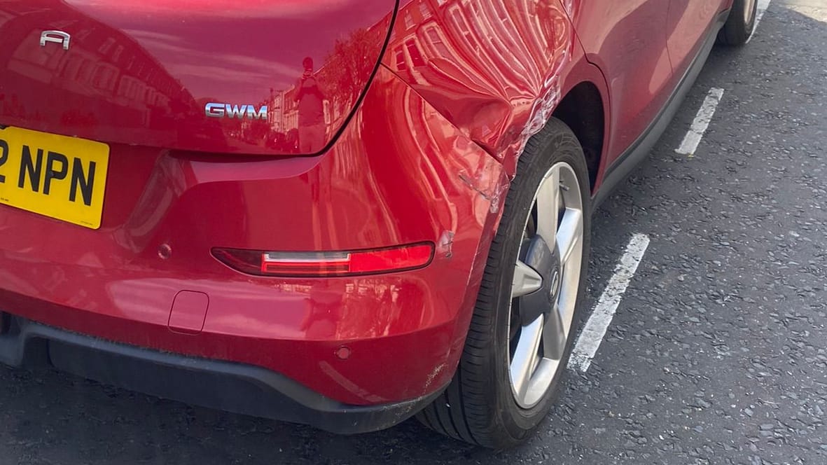 Ora Funky Cat First Edition - long term review - Report No:5 2025 | Top ...