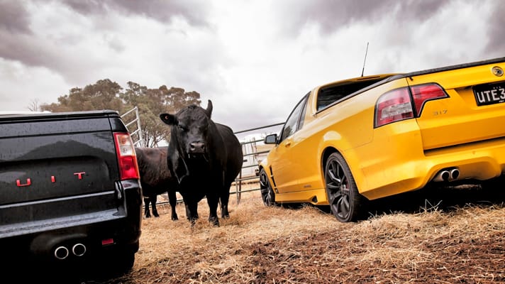 Gallery: Aussie ute shoot-out