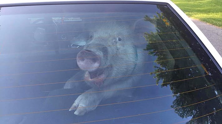 Ten things we learned this week