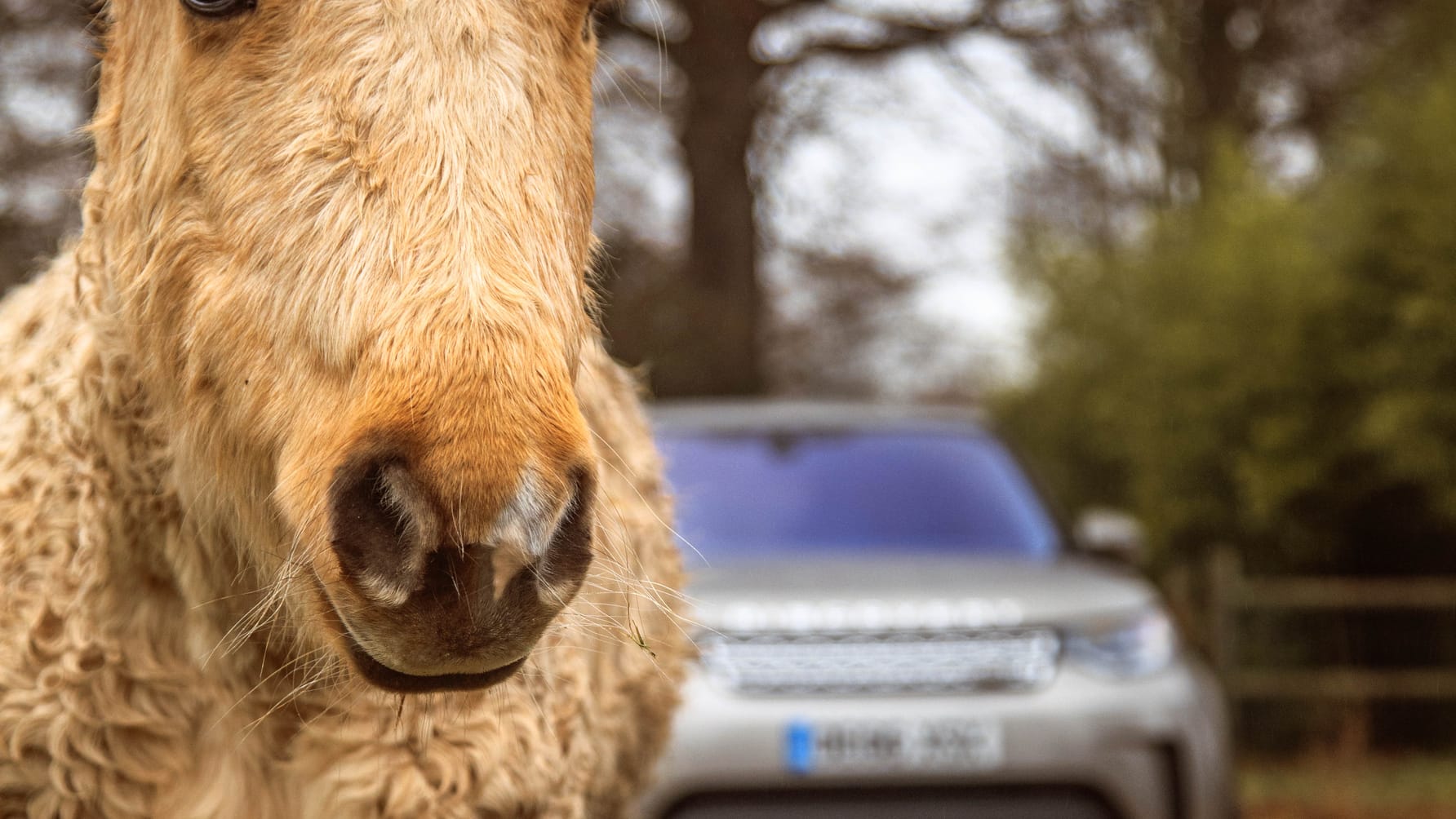 Land Rover Discovery: the ultimate test | Top Gear