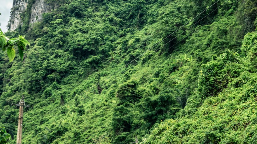 Driving the most remarkable road in the world: the Ho Chi Minh Trail ...