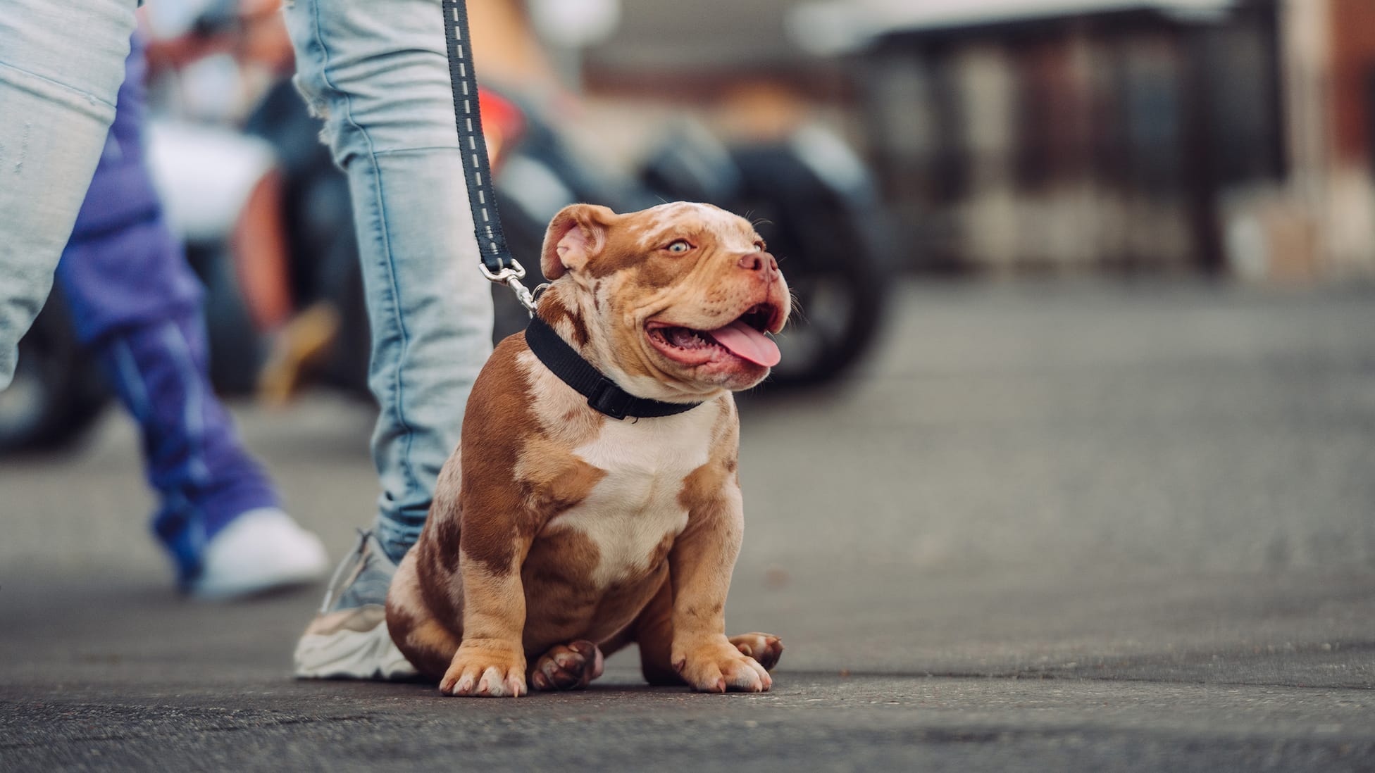 All you need to know about SLAB car culture | Top Gear