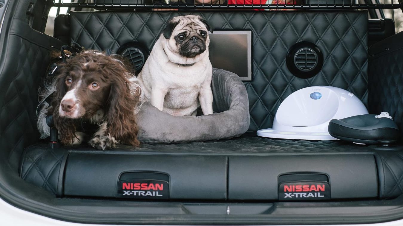 Nissan's made an X-Trail for dogs | Top Gear