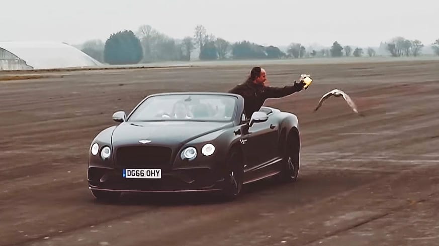 Video: it's Bentley vs the Gyrfalcon bird | Top Gear