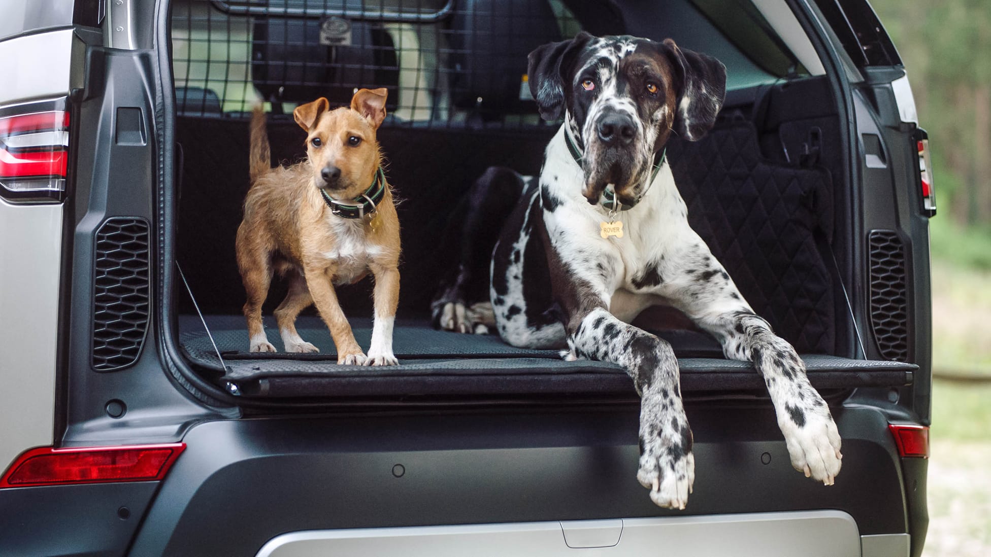 Land Rovers can now come fitted with a dog shower | Top Gear