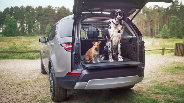 Land Rovers can now come fitted with a dog shower | Top Gear