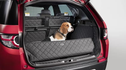 Land Rovers can now come fitted with a dog shower | Top Gear
