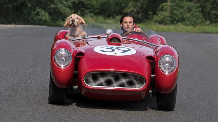 'The Art of Racing in the Rain' is a film about cars and dogs | Top Gear