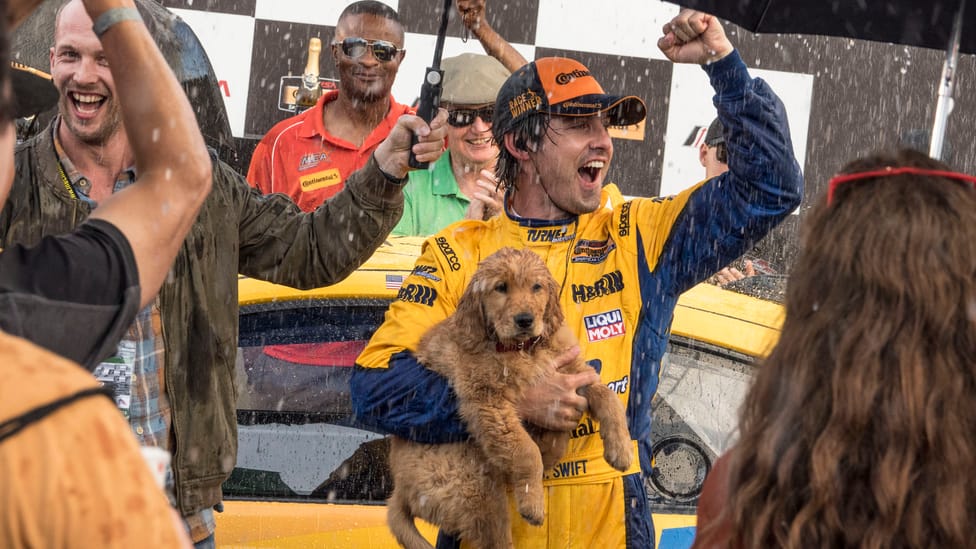 'The Art of Racing in the Rain' is a film about cars and dogs | Top Gear