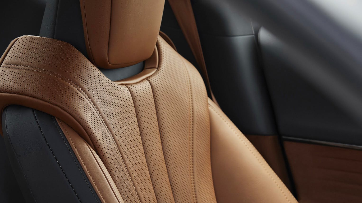 Shut the front door, it's a green and tan Lexus LC500 | Top Gear