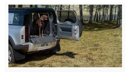 The Defender might be the most dog-friendly new car ever | Top Gear