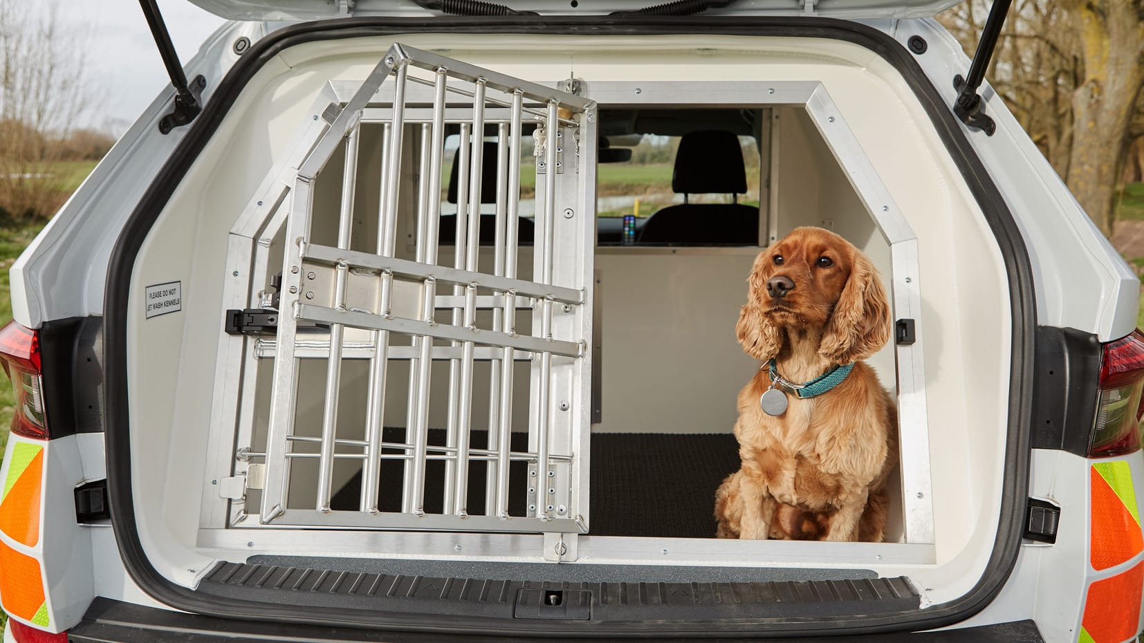 #InternationalDogDay: here are 20 more dogs in cars | Top Gear