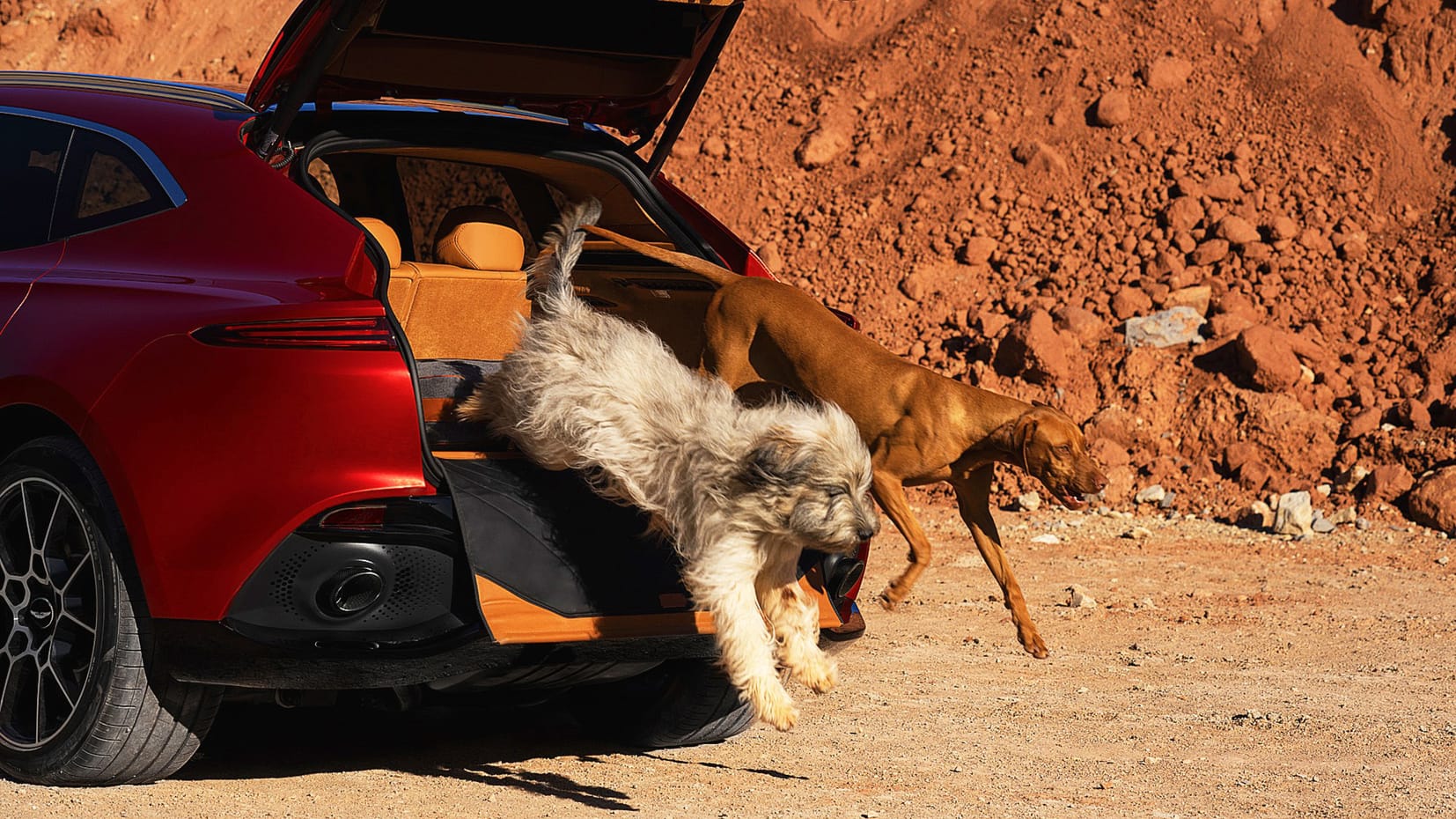 Top Gear’s Top 9: the best cars for dogs | Top Gear