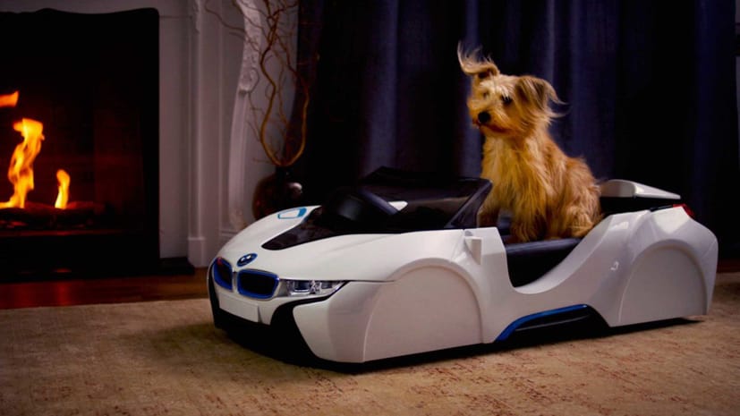 Top Gear’s Top 9: the best cars for dogs | Top Gear