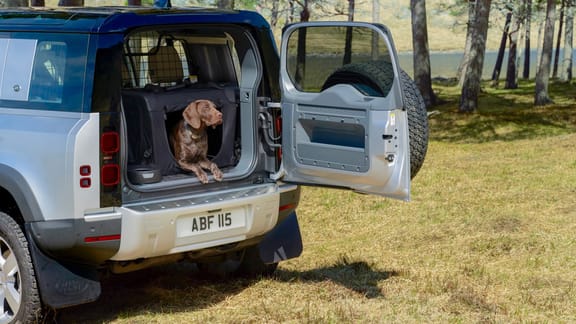 Top Gear’s Top 9: the best cars for dogs | Top Gear