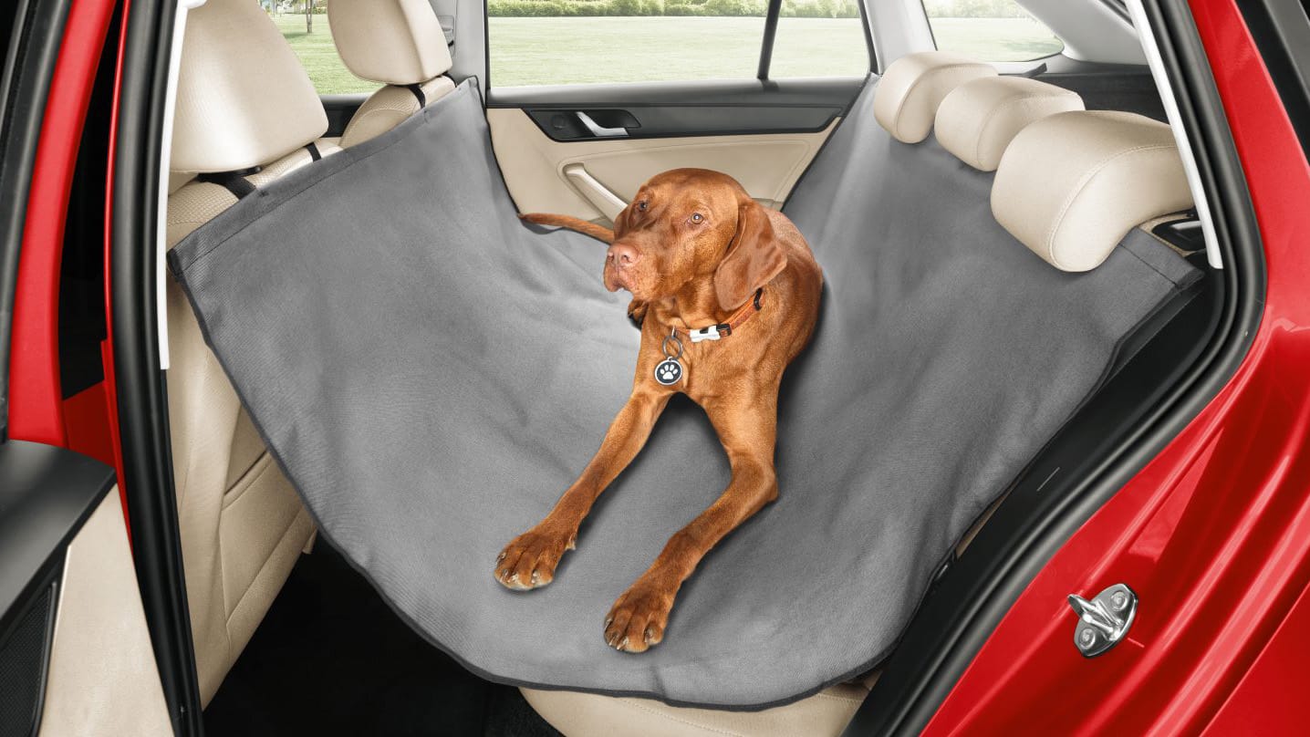 Top Gear’s Top 9: the best cars for dogs | Top Gear