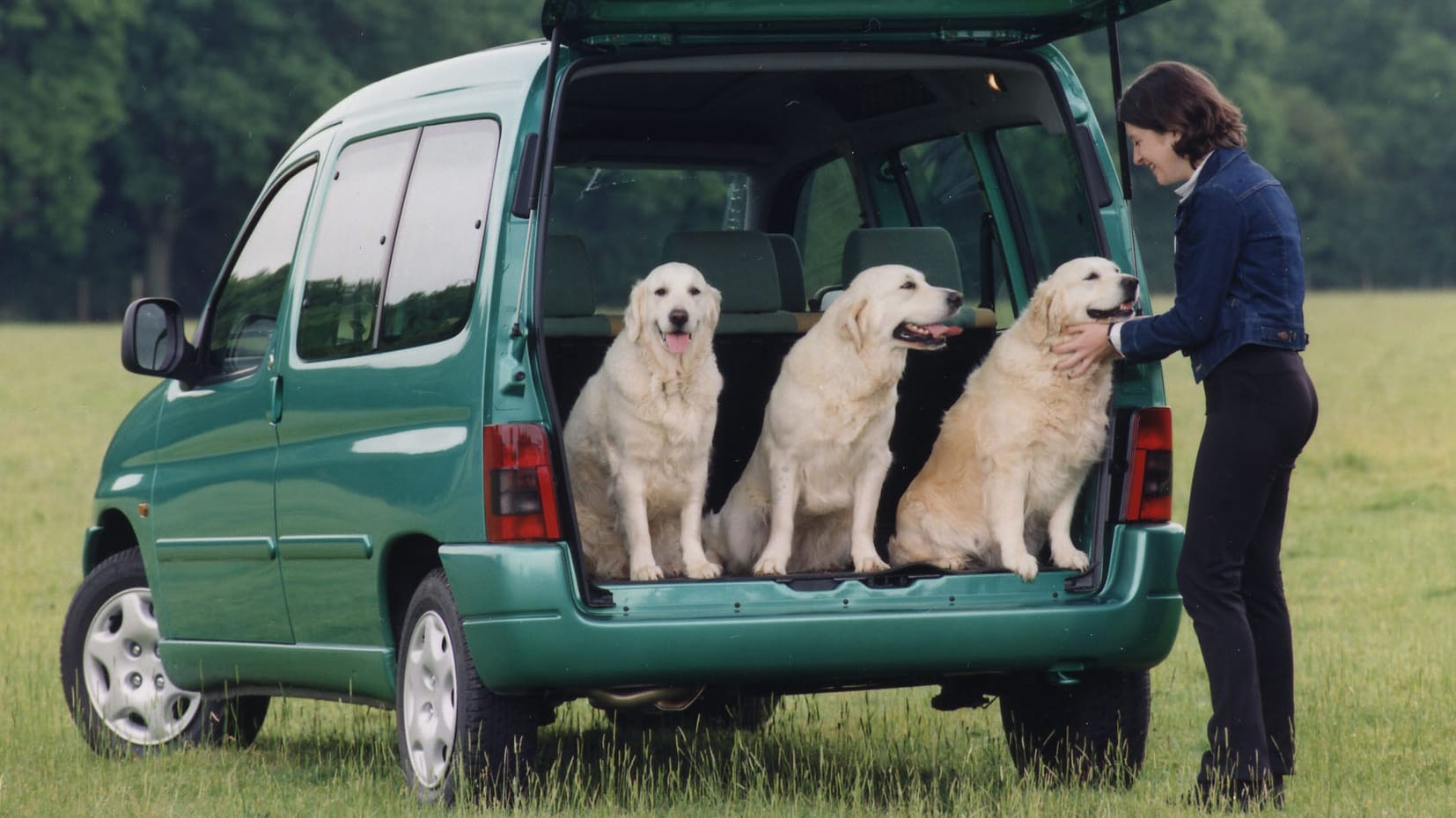 #NationalPuppyDay: here are 20 dogs in cars | Top Gear
