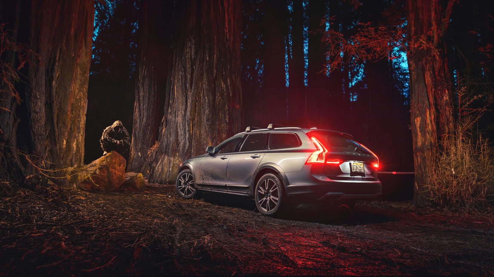 The best images from this month's Top Gear magazine | Top Gear