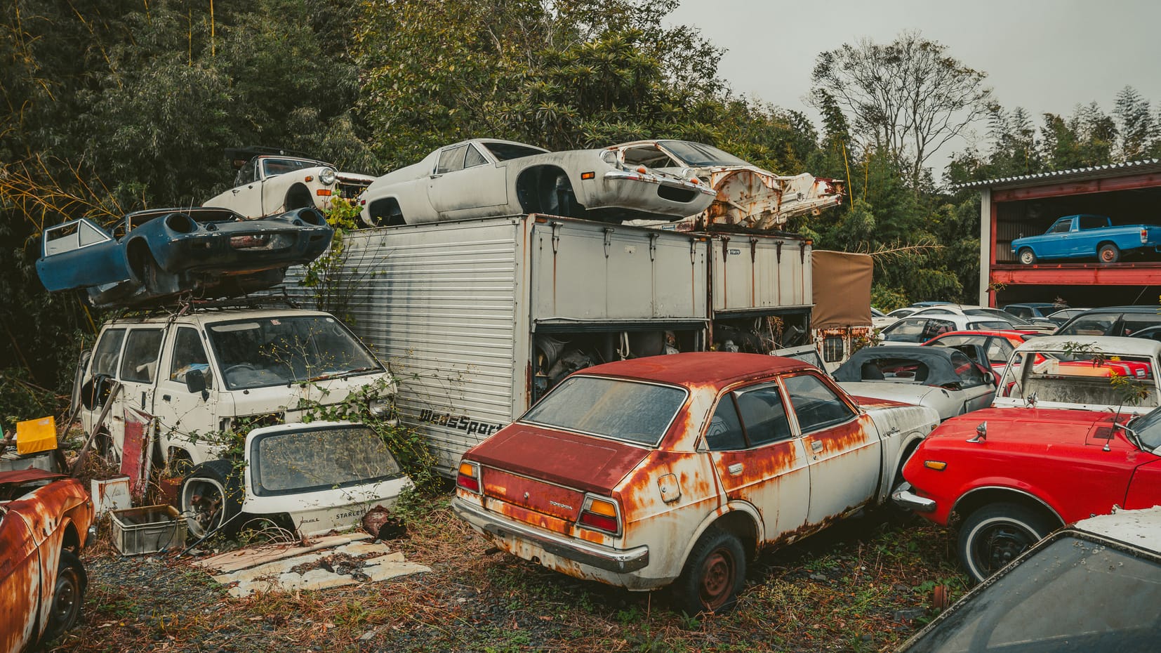 This car graveyard is where rare gems go to die | Top Gear