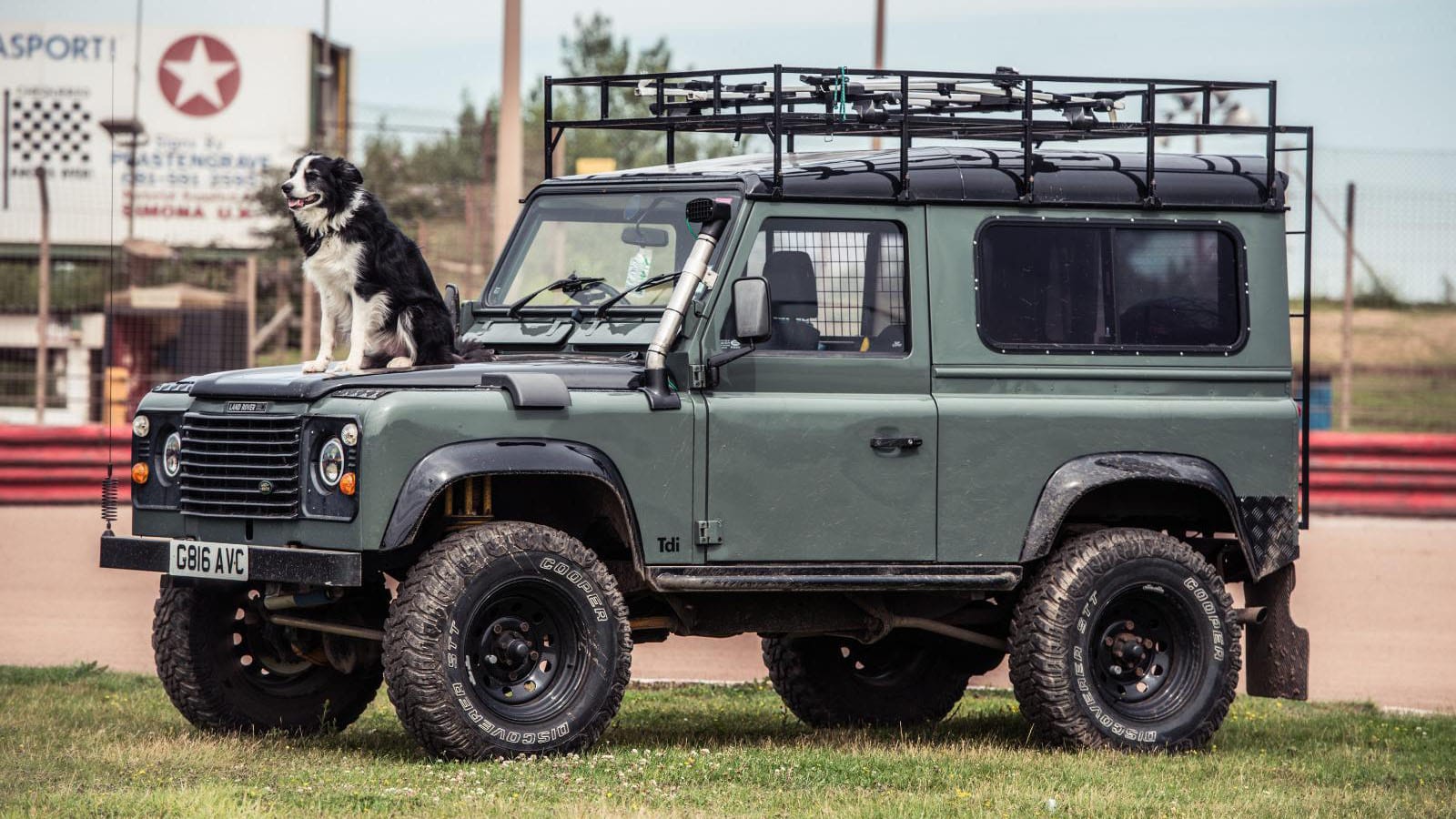 #NationalPuppyDay: here are 20 dogs in cars | Top Gear