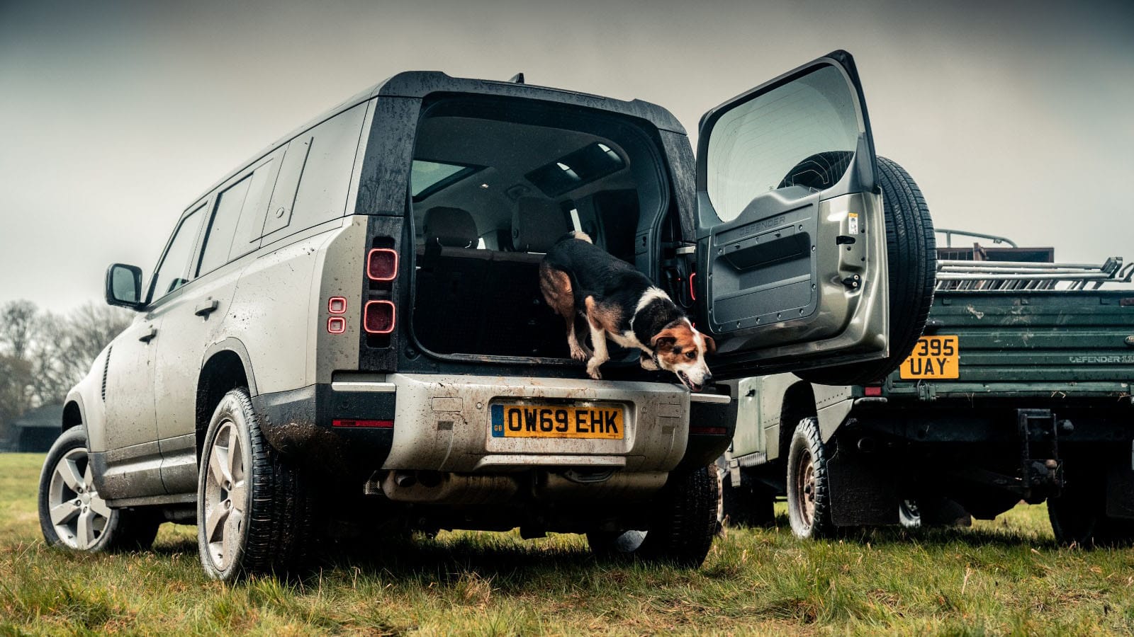 #NationalPuppyDay: here are 20 dogs in cars | Top Gear