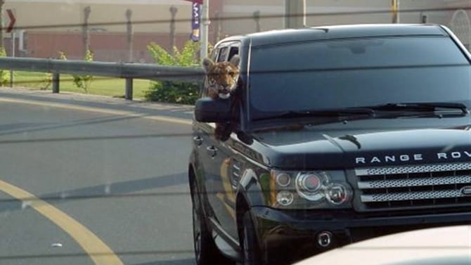 Animals in cars news - It’s a tiger riding in a Land Rover! - 2011 ...
