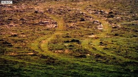 Car rugby part 2/2 (Series 19, episode 4) | Top Gear